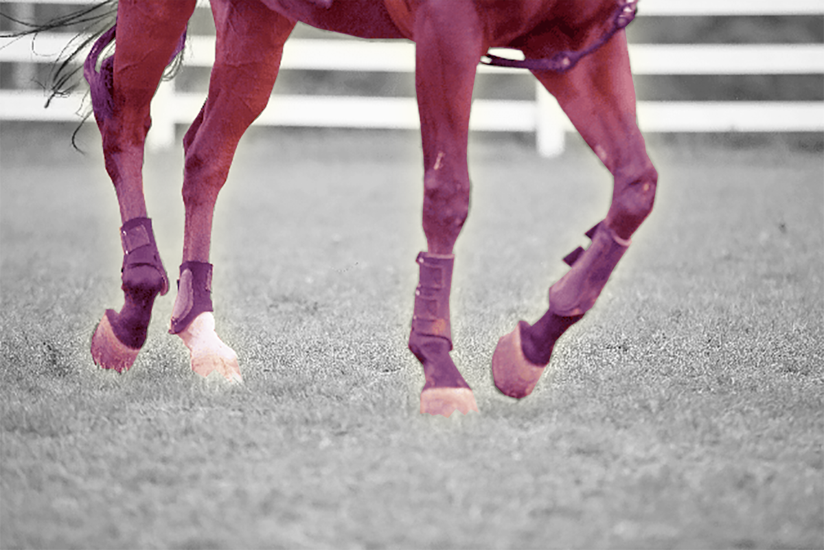 Bokep toket gede jepang