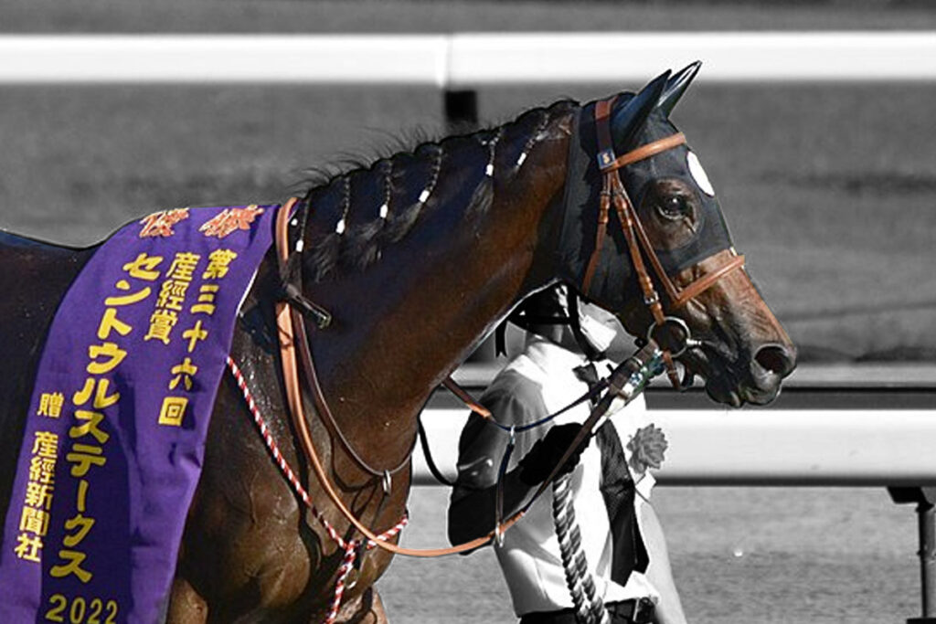 メイケイエールは米G1「BCターフスプリント」か「BCフィリー&メアスプリント」へ！ – 競馬ヘッドライン