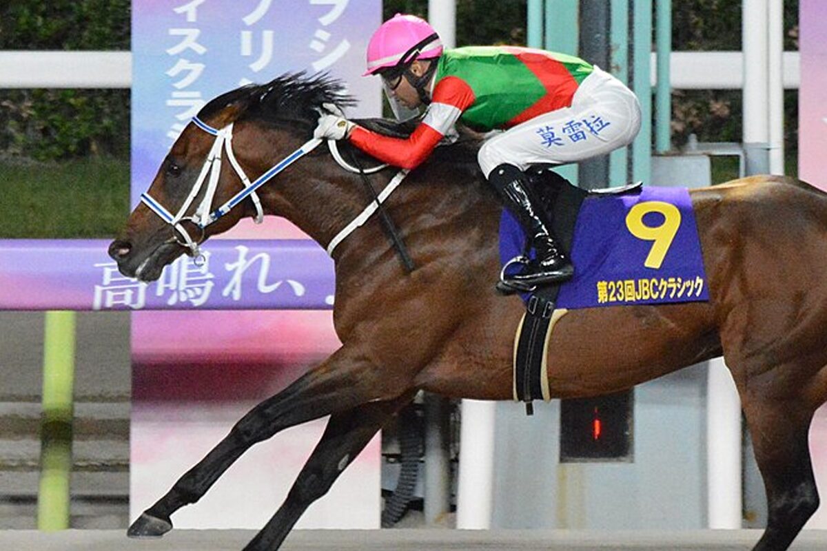 【フェブラリーステークス2024予想】末脚に期待大のキングズソード、巻き返しへ | 競馬ヘッドライン