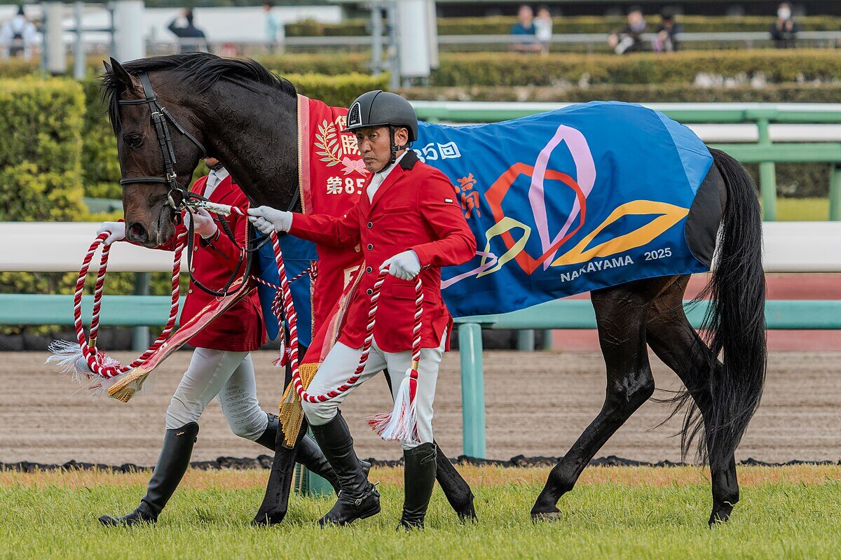 【QE2世カップ2026】ミュージアムマイル遠征決断、ドバイ回避から香港へ | 競馬ヘッドライン