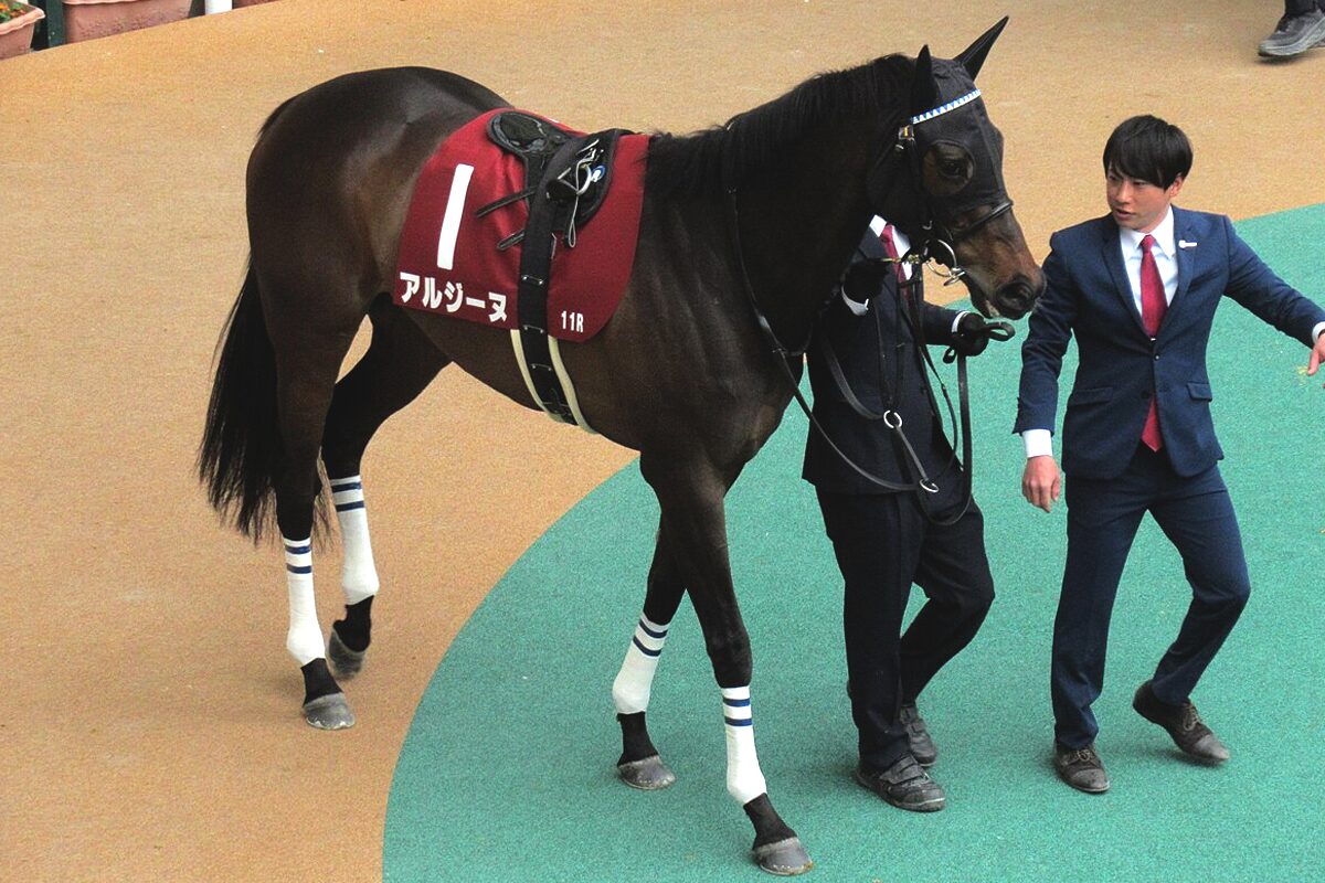 【クイーンS予想2025】挑戦者から主役へ、アルジーヌ雪辱へ万全の構え | 競馬ヘッドライン