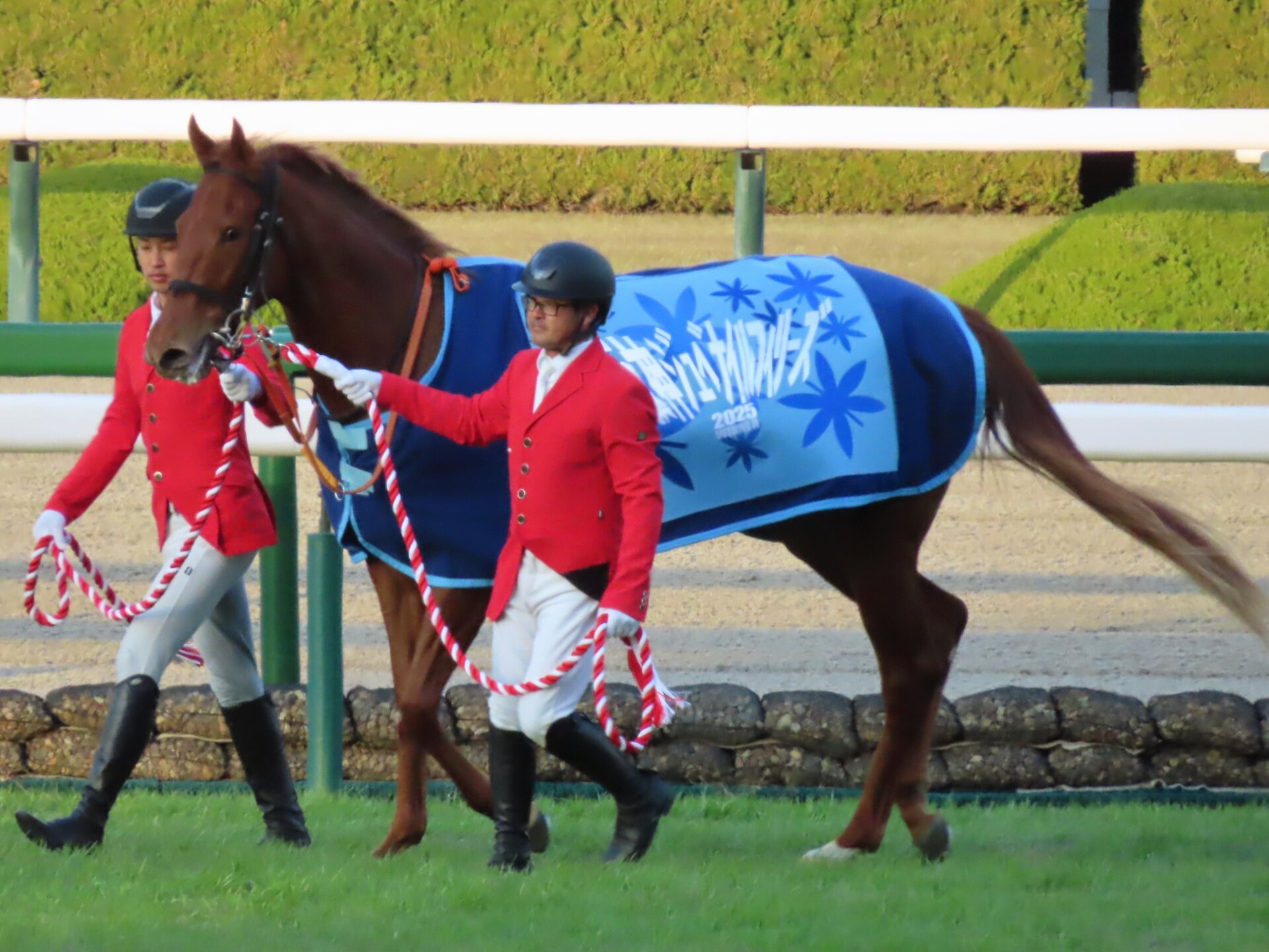 【オークス2026】主役はスターアニス、立ちはだかるのは2400mの壁 | 競馬ヘッドライン